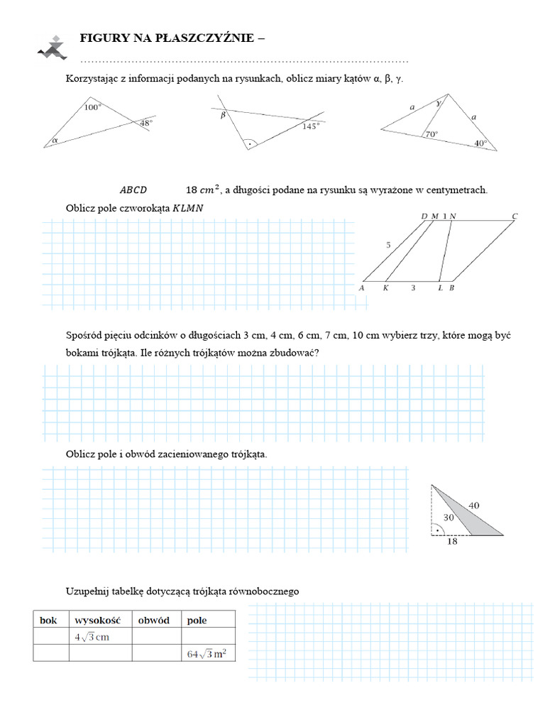 Sprawdzian Figury Na Płaszczyźnie | PDF