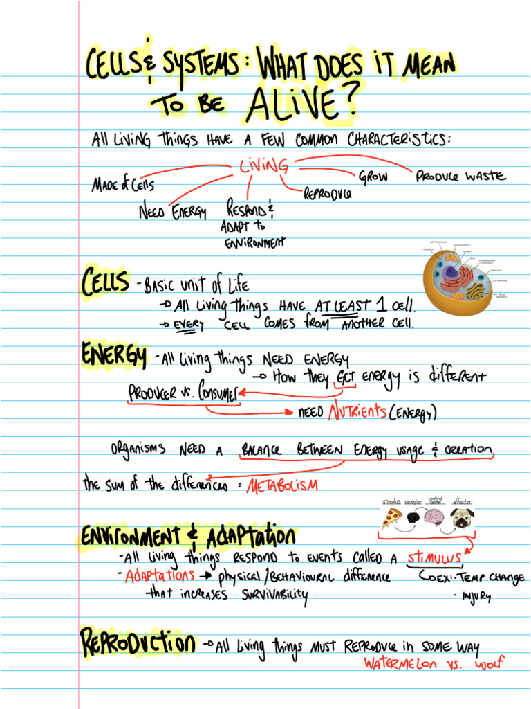 L1 What Does It Mean To Be Alive | PDF