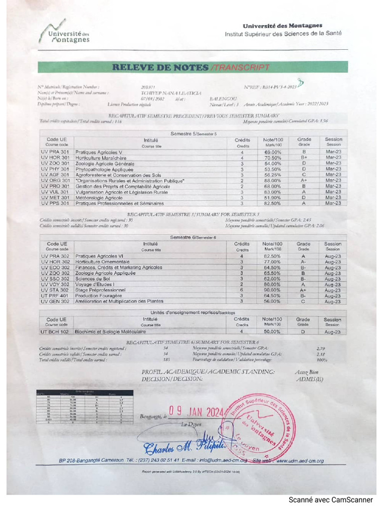 Level 3 Transcript | PDF Level 3 Transcript | PDF
