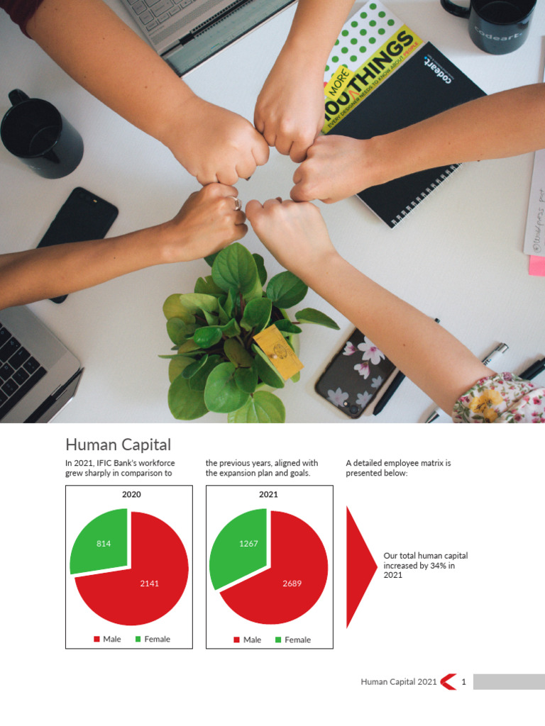 Human Capital | PDF | Employment | Compensation And Benefits