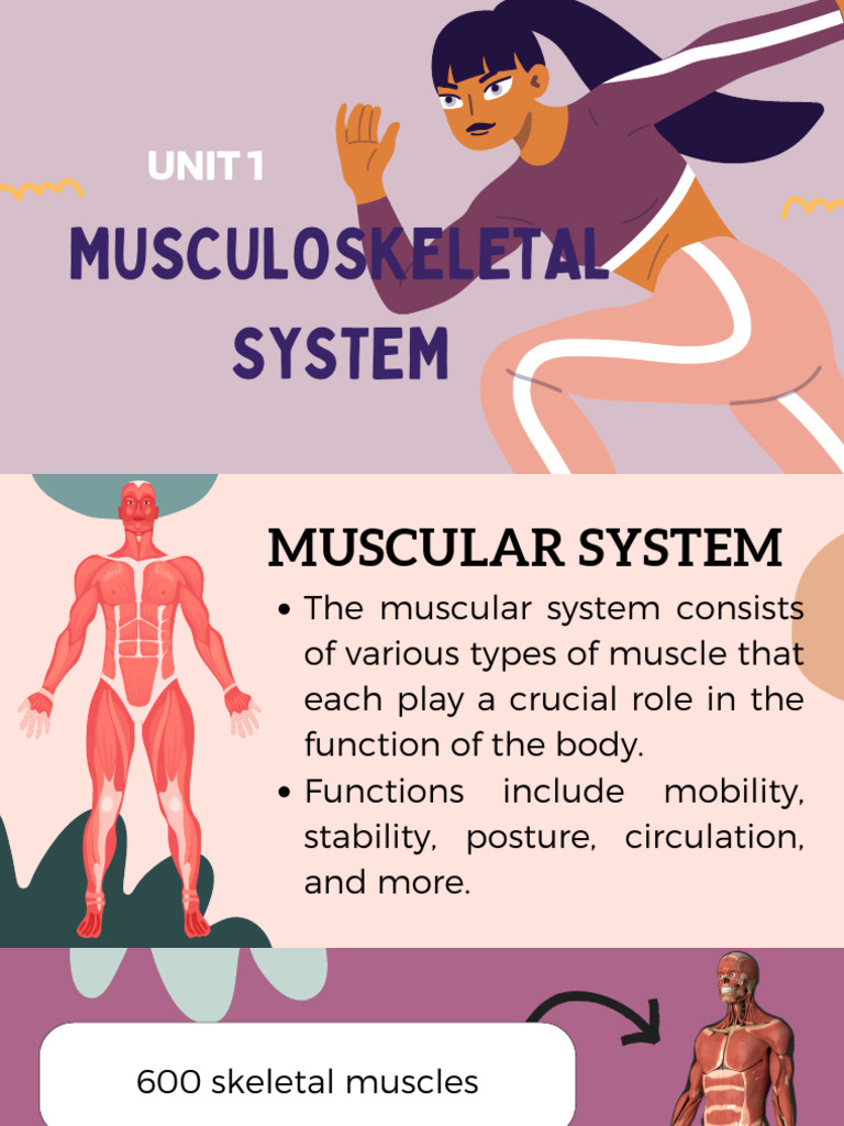 Muscular System | PDF | Shoulder | Anatomical Terms Of Motion