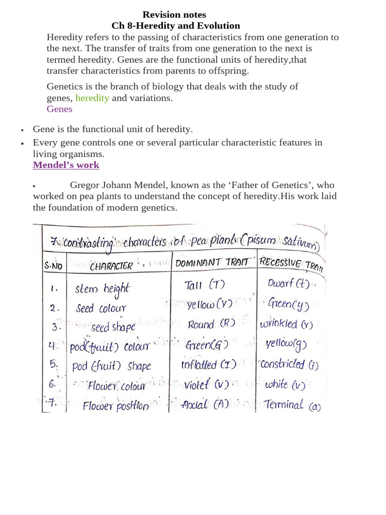 CH 8-Heredity and Evolution | PDF | Dominance (Genetics) | Heredity