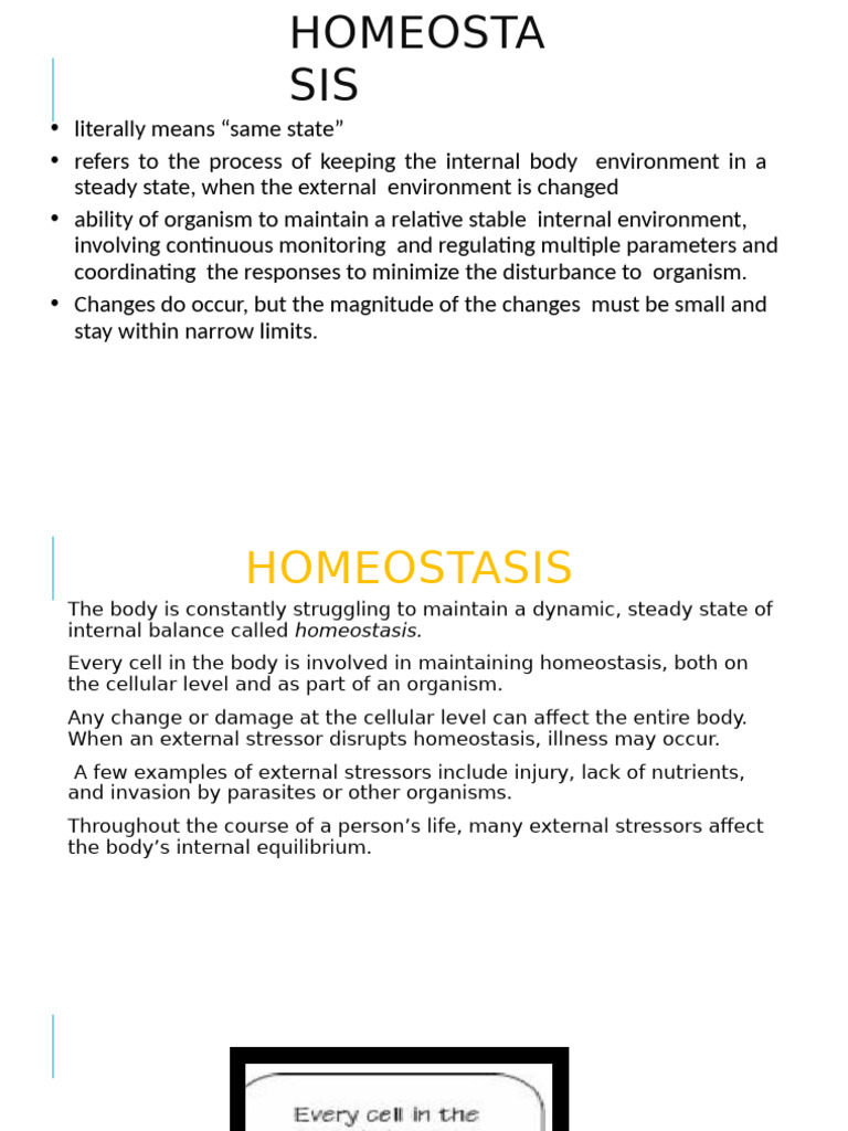 Homeostasis | PDF | Homeostasis | Negative Feedback
