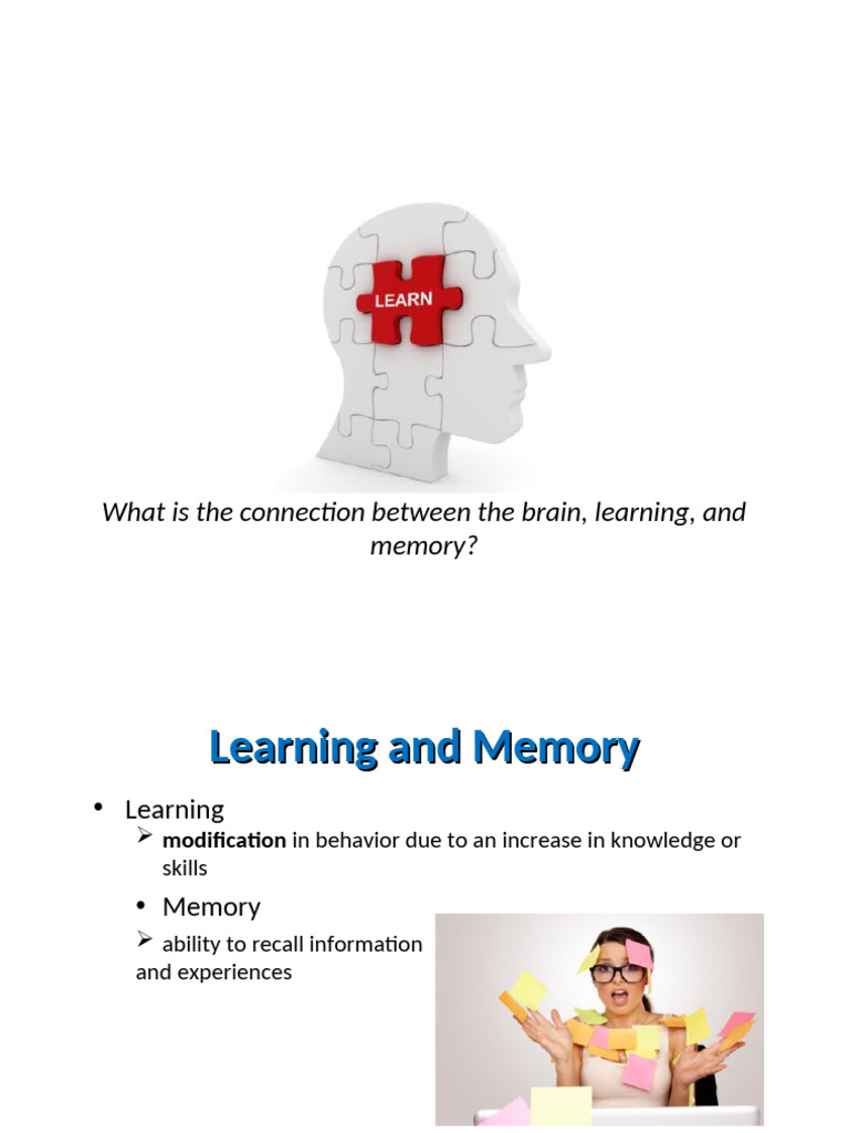 The Brain, Learning, and Memory | PDF | Memory | Learning