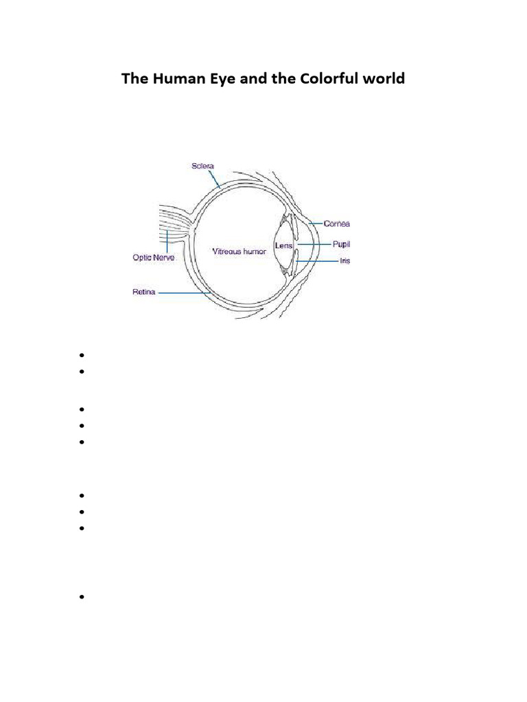 Human Eye Structure and Function Guide | PDF | Eye | Human Eye