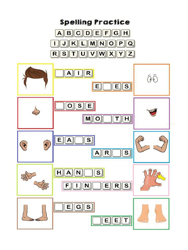 Body Parts Worksheet | PDF