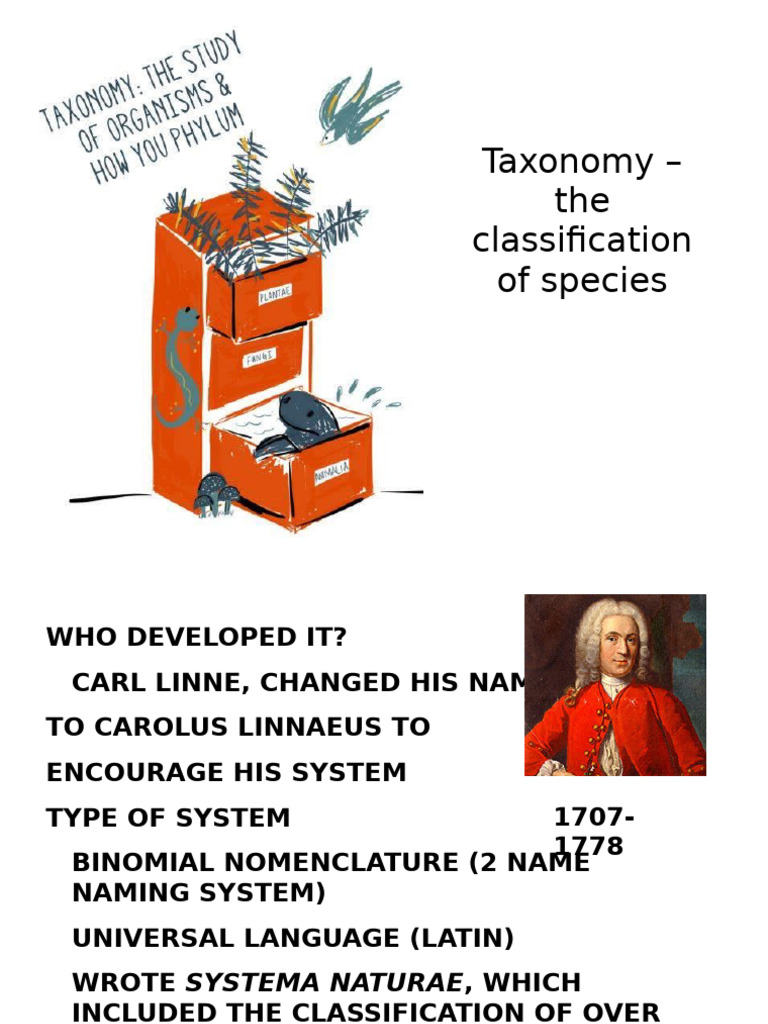 Taxonomy and Binomial Nomenclature | PDF