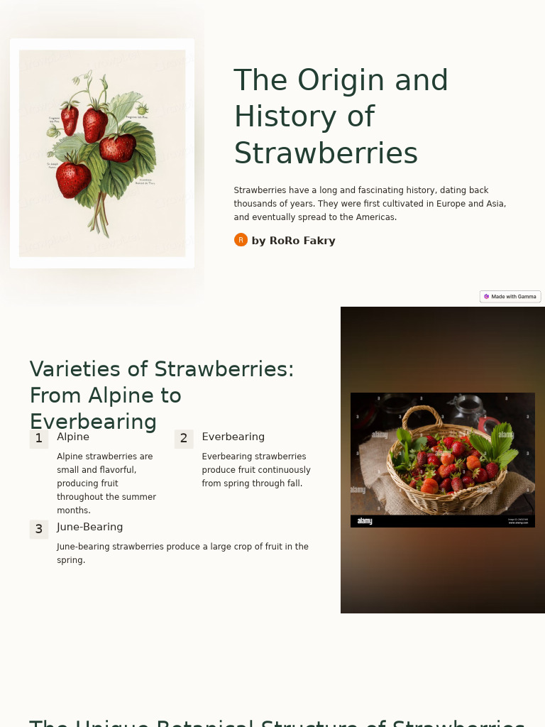 The Origin and History of Strawberries | PDF | Strawberry | Fruit