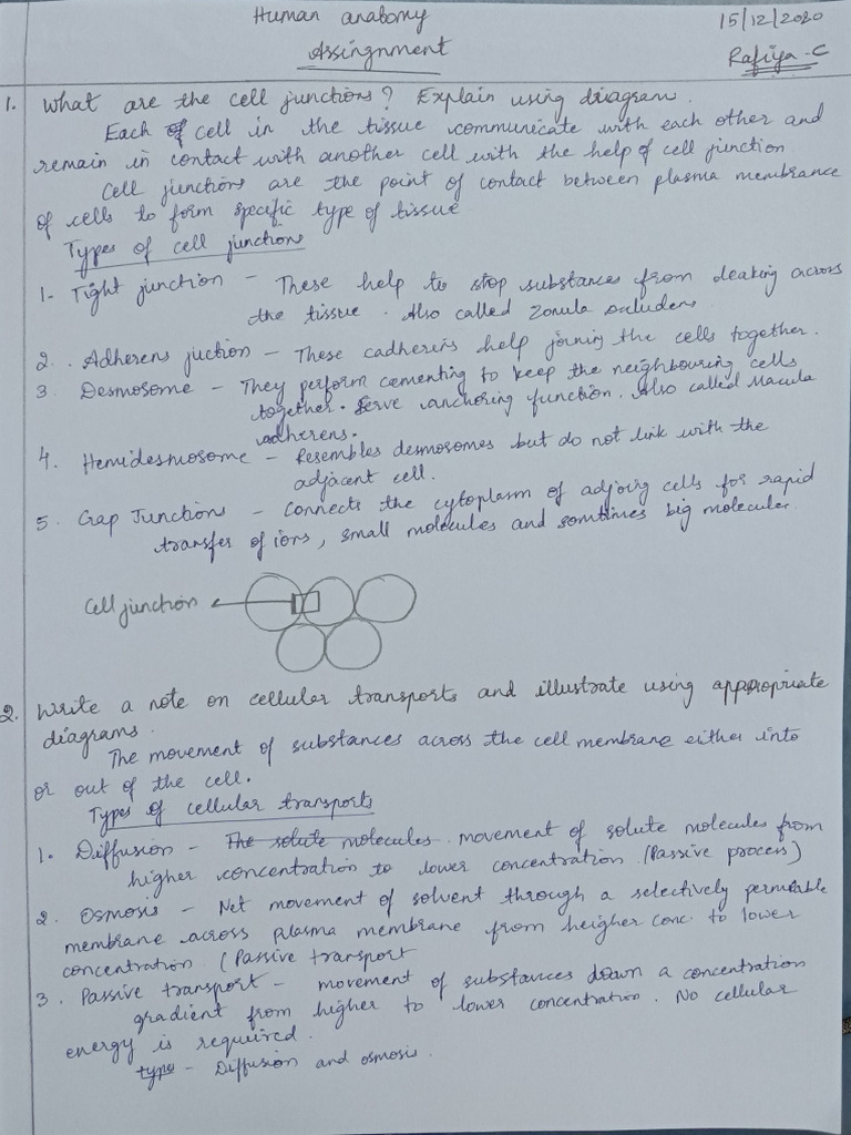 0 - Rafiya - HAP - Assignment 1 | PDF