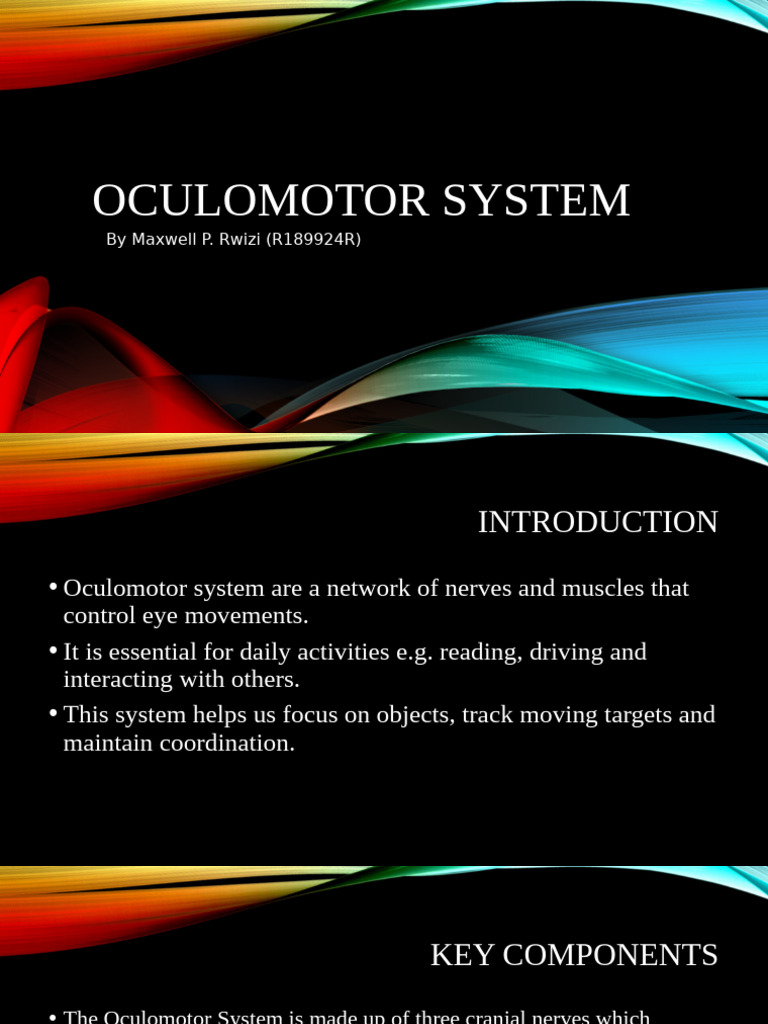 Oculomotor System Max Rwizi Final Pres 1 | PDF | Eye | Human Anatomy