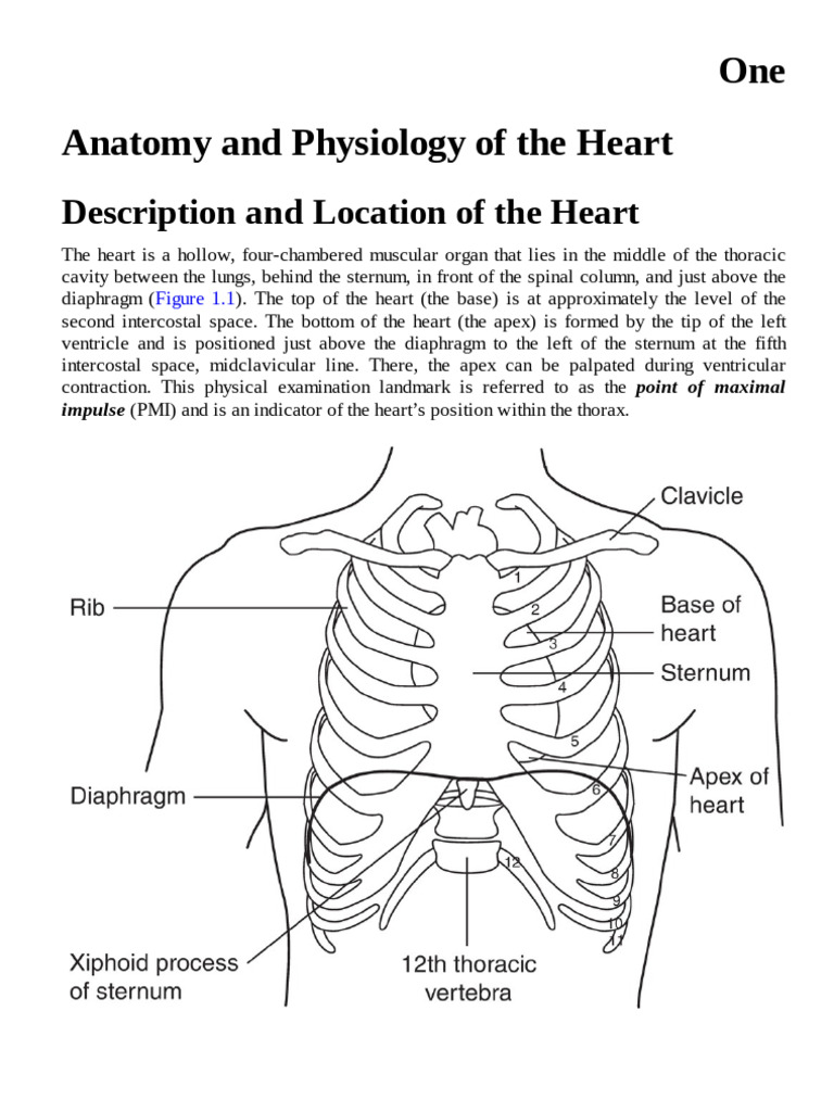 ECG CHP 1 | PDF | Heart Valve | Atrium (Heart)
