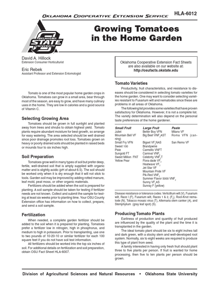 Growing Tomatoes in the Home Garden Hla 6012 | PDF | Tomato | Pest (Organism)