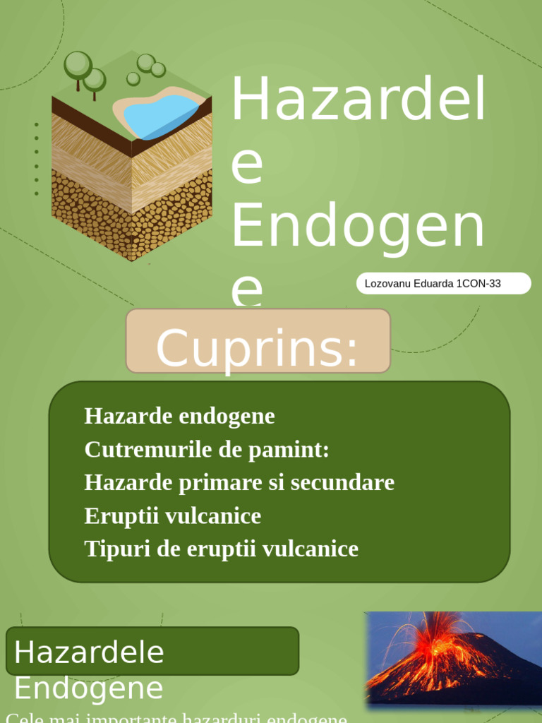 Hazarde Endogene | PDF