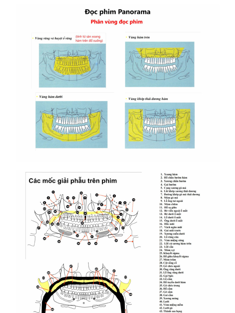 Đọc phim Panorama | PDF