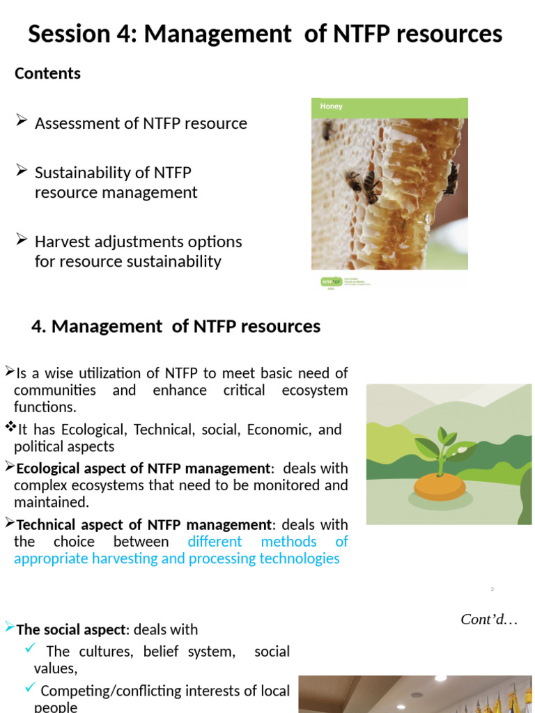 NTFP - Management of NTFP Resources | PDF | Ecology | Forests