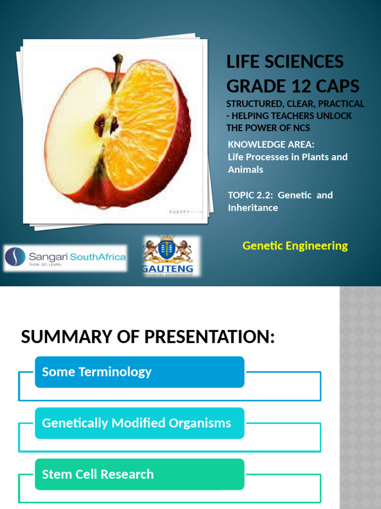 PP11. Genetic Engineering | PDF | Genetic Engineering | Ploidy