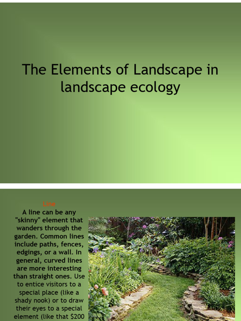 Key Elements of Landscape Design | PDF | Gardens | Botany
