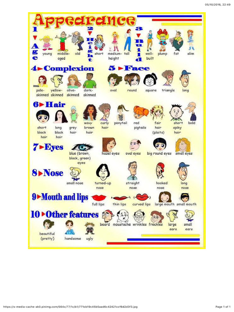 Appearance - Infographics | PDF