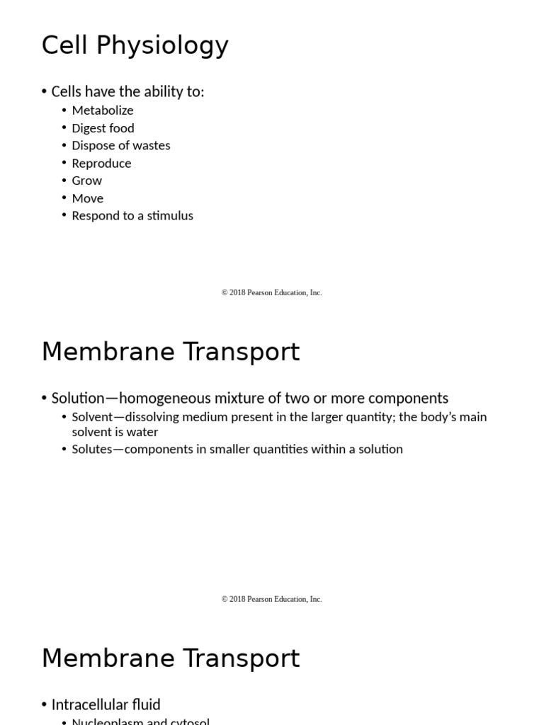 Lecture Chapter 3 Cell Physiology Copy Pdf Mitosis