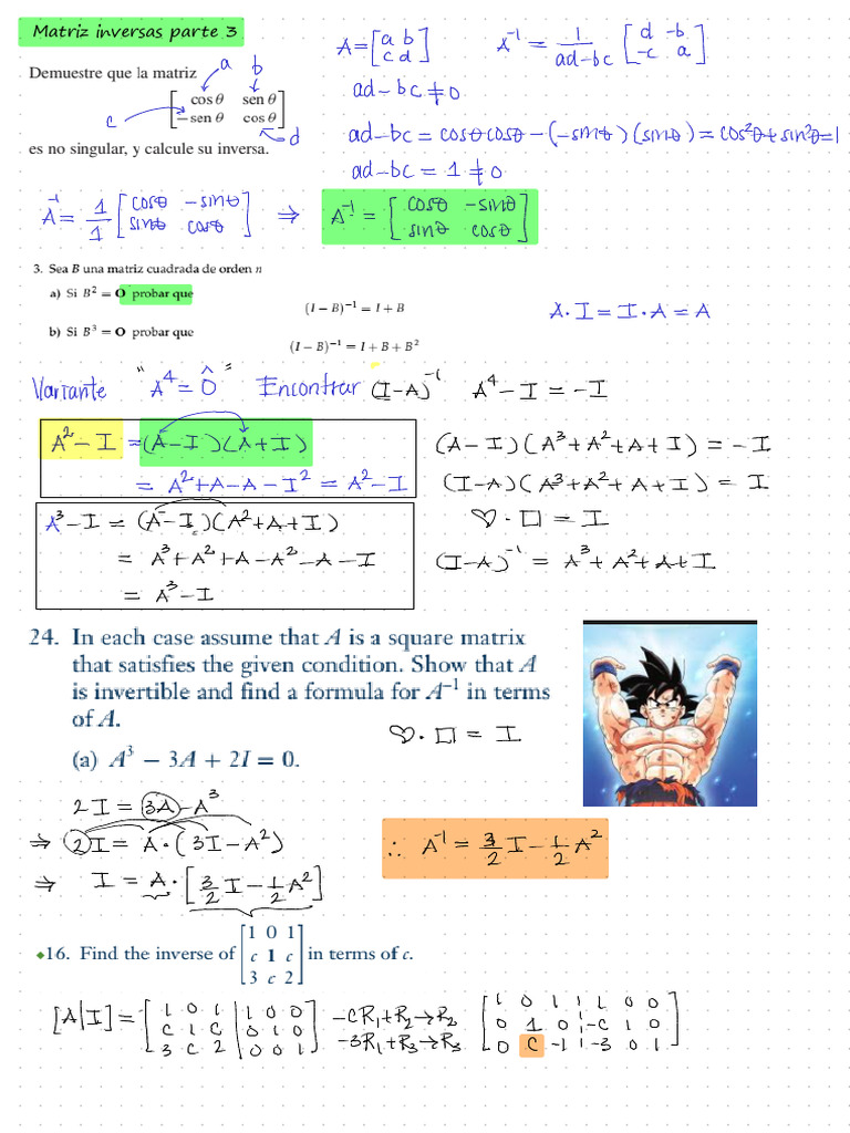 Matrices INversas Parte 3_annotated | PDF