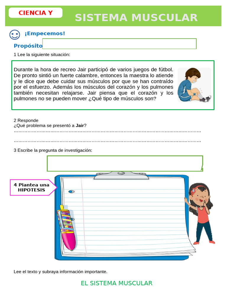 D3 A1 Ficha Ct. Sistema Muscular | PDF | Músculo | Anatomía