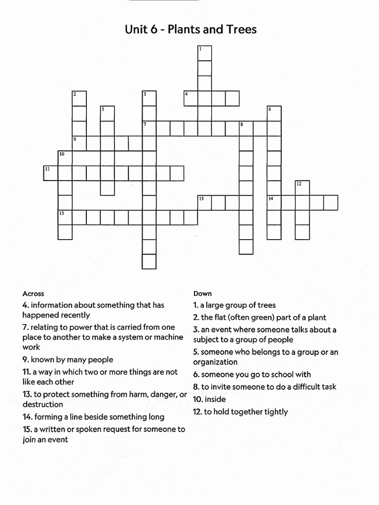 Unit 6 Vocabulary Crossword Puzzle | PDF