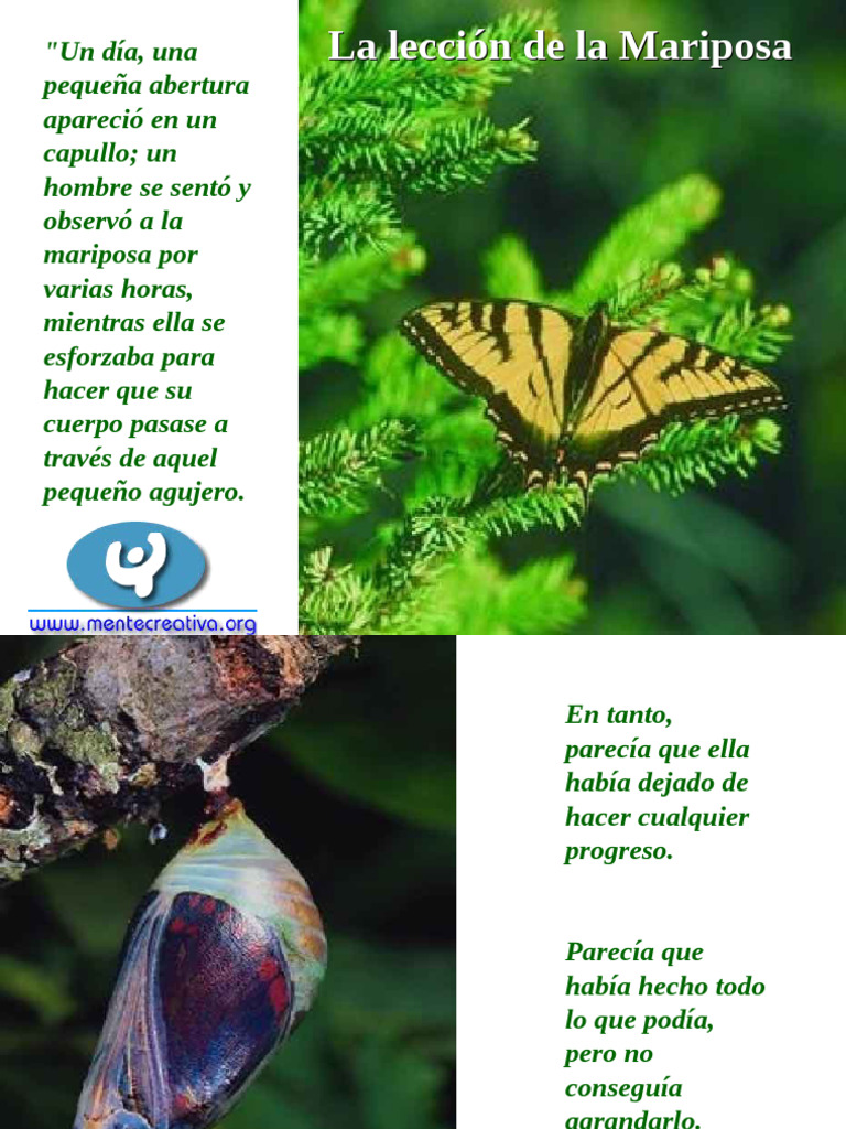 mariposas | PDF