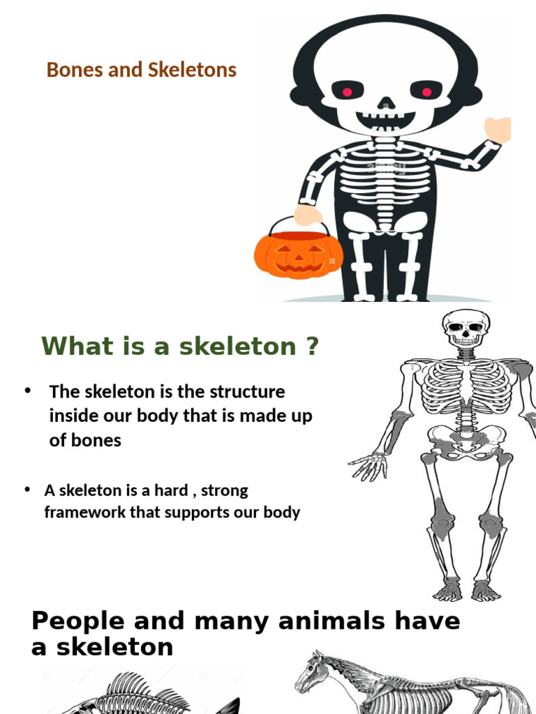 Skeleton | PDF | Wellness | Science & Mathematics