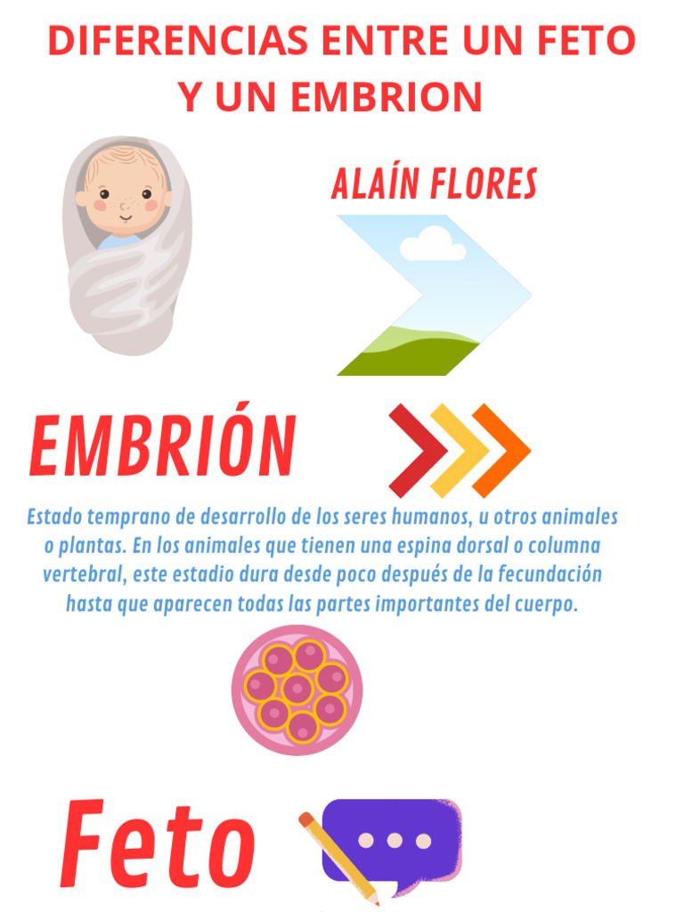 Diferencias entre embrión y feto | PDF
