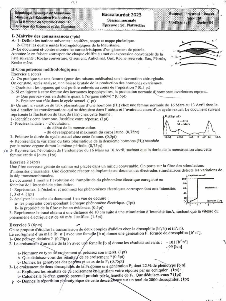 Bac C 2023 SN sn | PDF