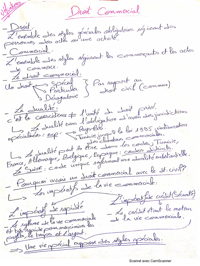 Résumé Commercial - Siwar Ben Rezgui | PDF