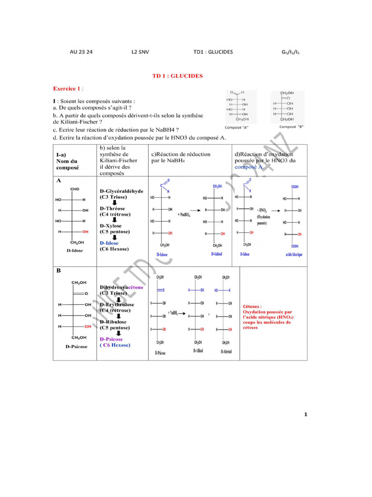 Corrigé TD 1 Glucides | PDF