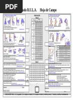 Metodo Rula Excel | PDF | Sistema musculoesquelético | Anatomía humana