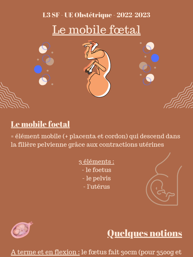 Présentations fœtales et asynclitisme | PDF | Utérus