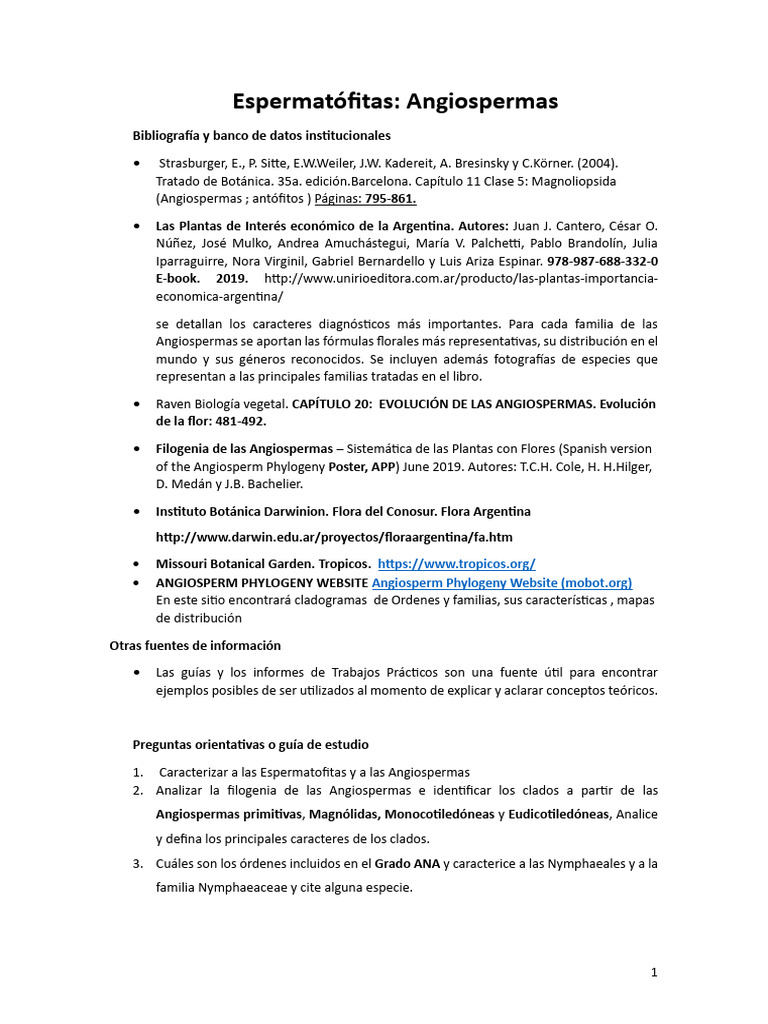 Filogenia Espermatófitas - Angiospermas | PDF | Plantas | Botánica