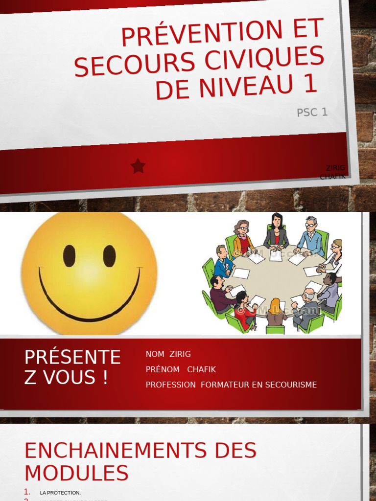 Premier Secours | PDF | Réanimation cardio-pulmonaire | Brûlure