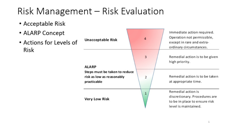 GUIDE_ Risk Evaluation & Treatment | PDF