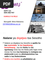 Mefuta Ya Dipina | PDF | South Africa | Art