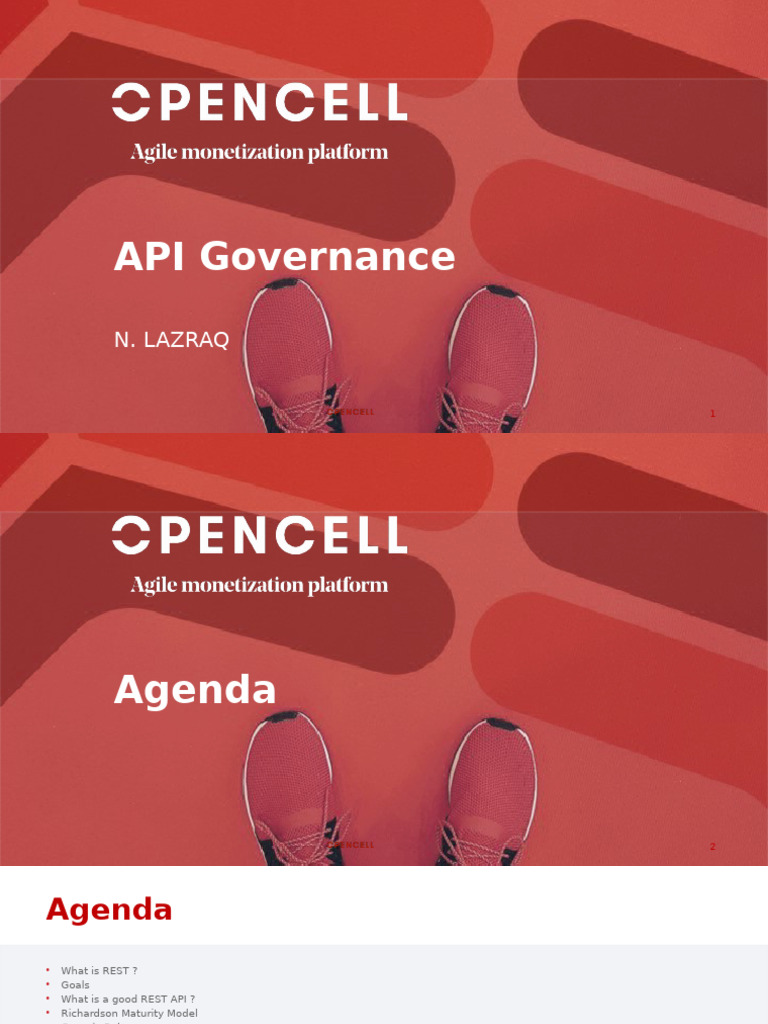 Opencell API Governance | PDF | Internet | Computing