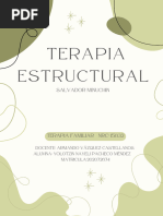Modelo Estructural de Minuchin en Terapia Familiar | PDF | Terapia ...
