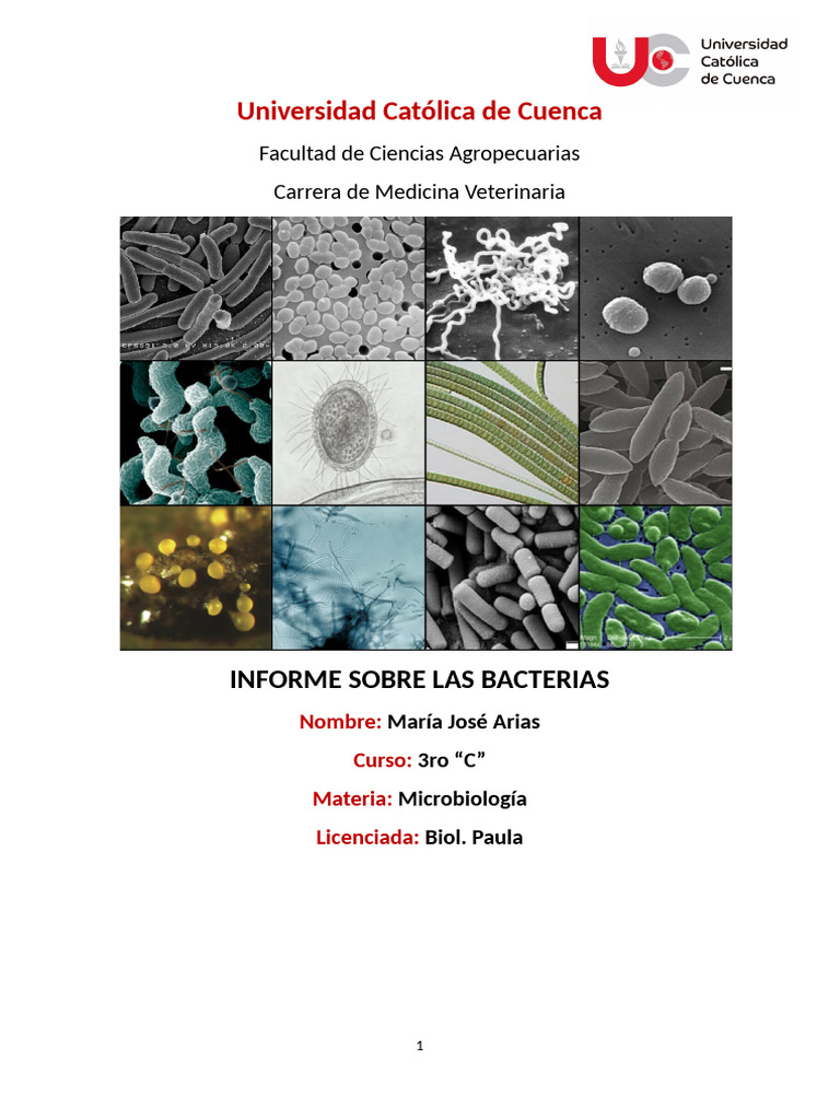 Informe de Microbiología | PDF | Las bacterias | Resistencia antimicrobiana