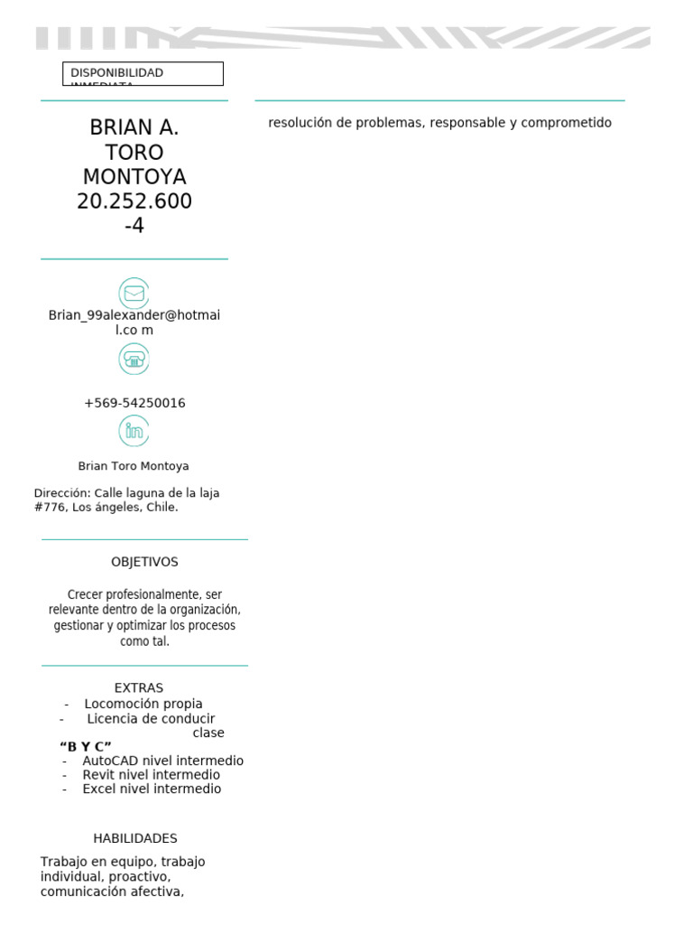 cv brian toro vialidad | PDF