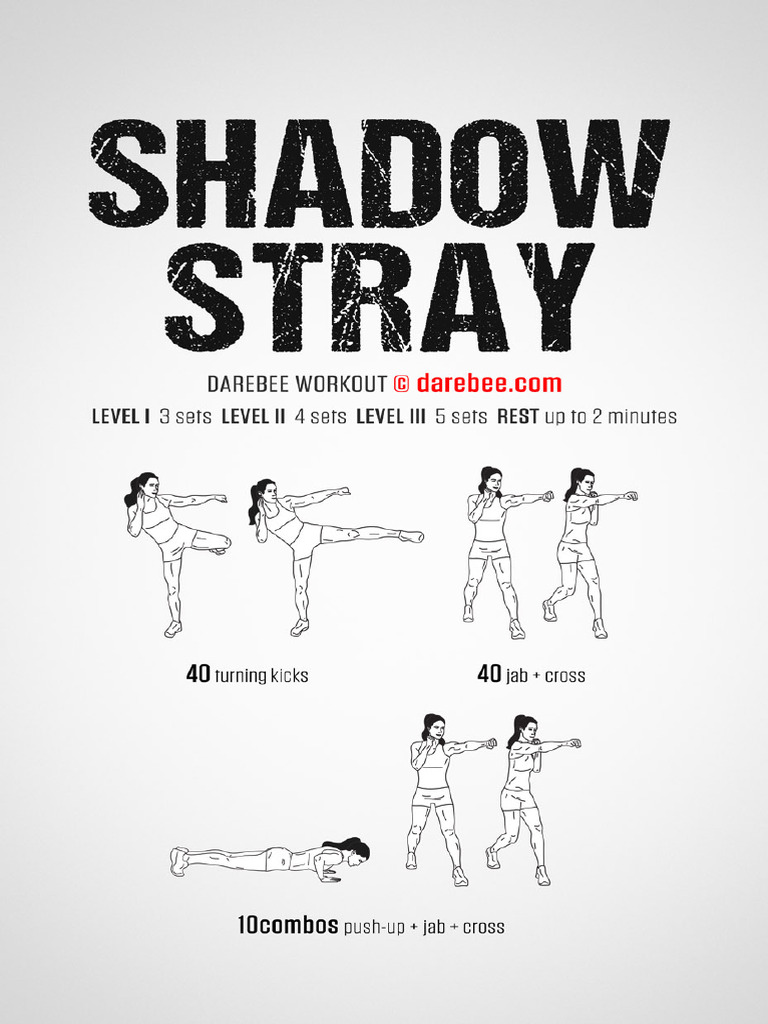 Shadow Stray Workout | PDF