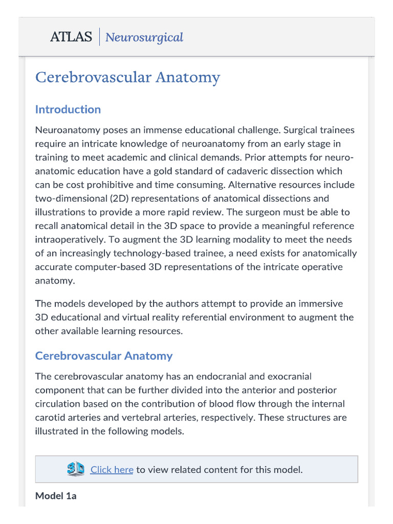 5.2.5.cerebrovascular Anatomy | PDF