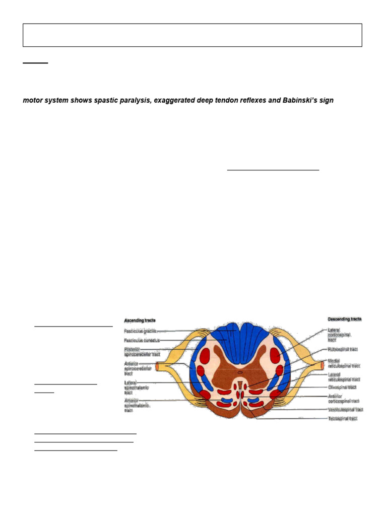 2021-21 - 23 April - DNPR SG2 - Neurology Ans | PDF | Cerebrospinal ...
