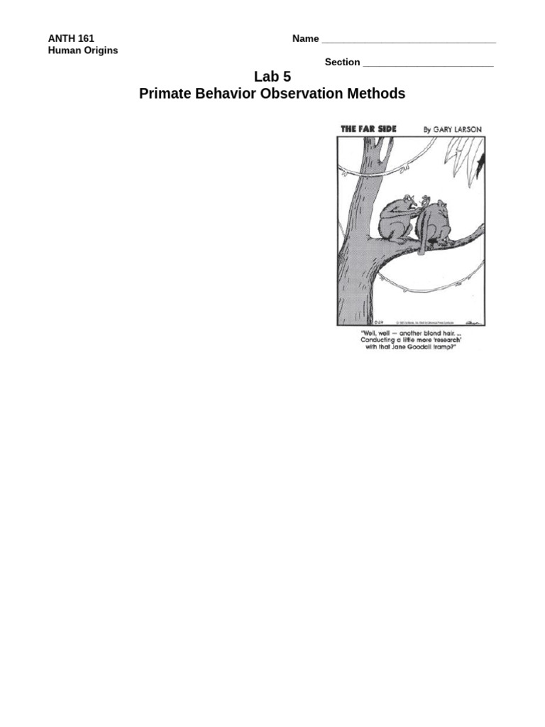 Lab 5. Primate Observation Worksheet | PDF | Zoology | Behavioural Sciences