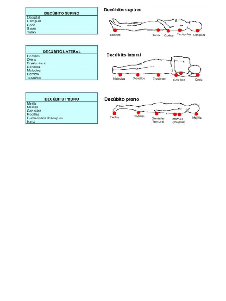 Posiciones de Una Cama | PDF