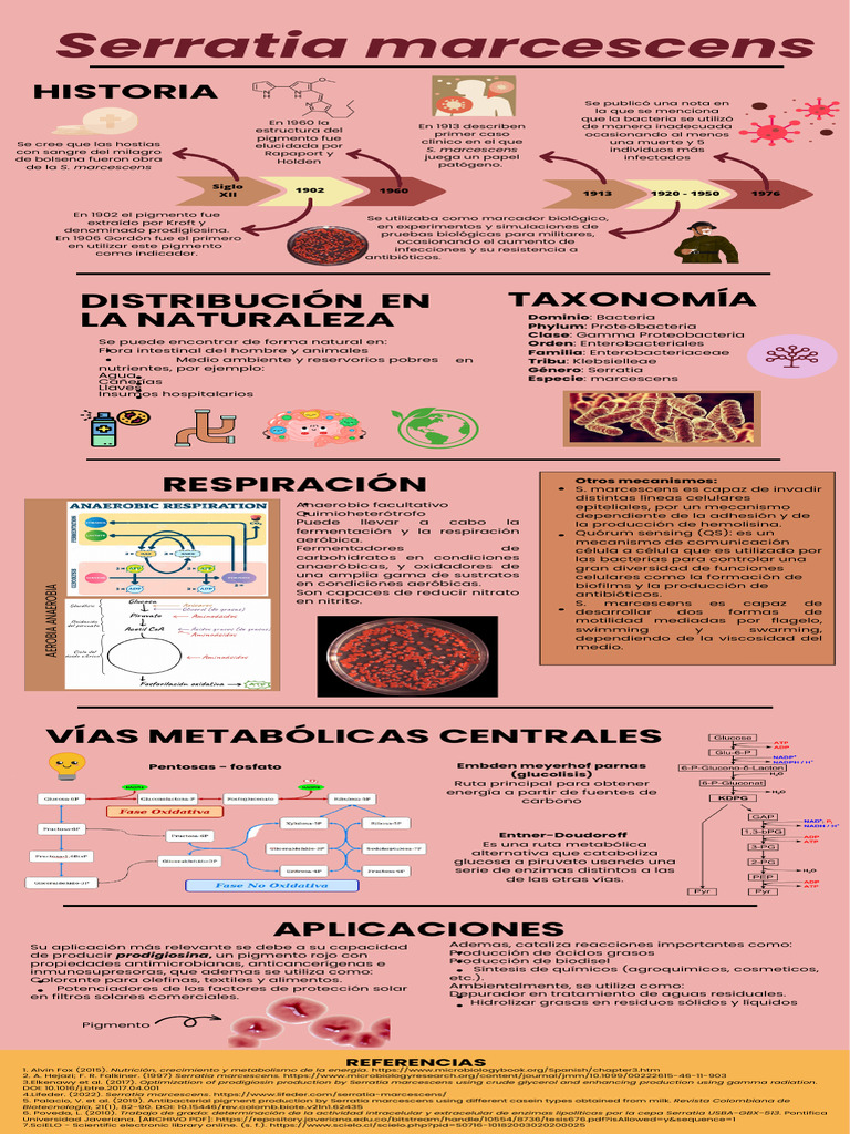 SERRATIA MARCESCENS | PDF | Metabolismo | Las bacterias