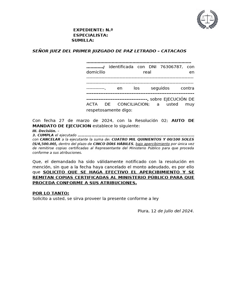 Solicito Que Se Haga Efectivo El Apercibimiento | PDF