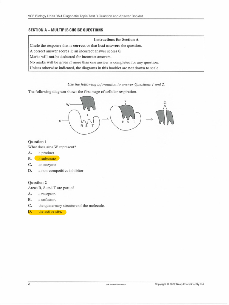 Enzyme Practice Questions | PDF